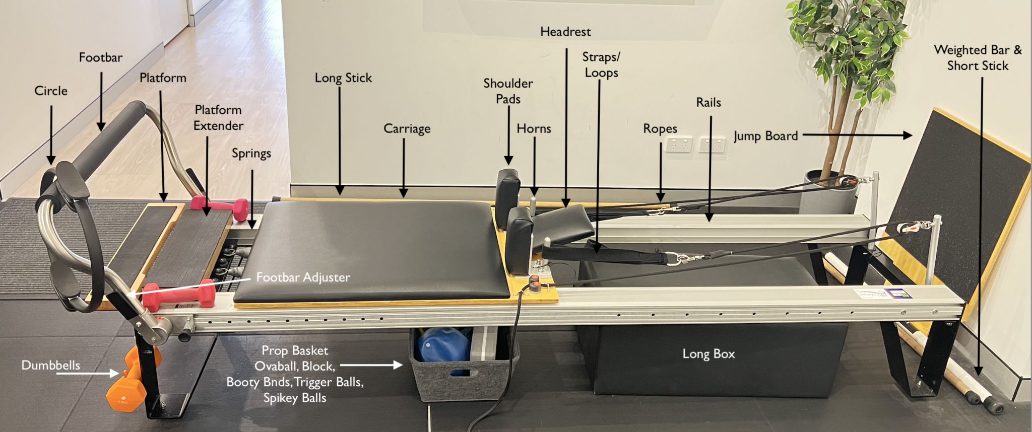 Reformer Pilates Fundamentals Session - KT Health & Wellness - Offers ...